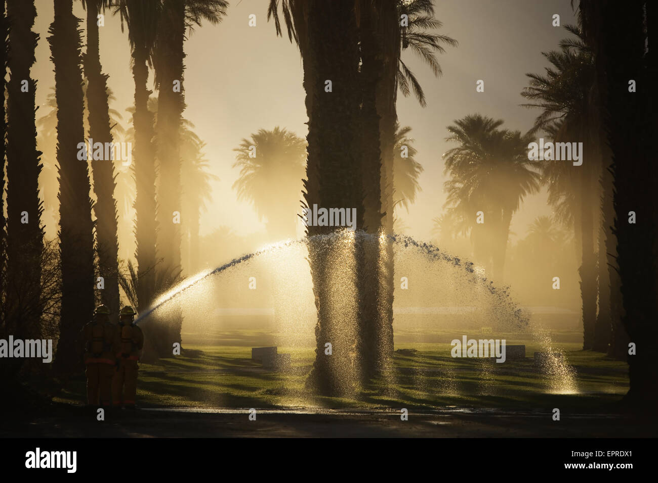 Firefighters with fire hose in a date grove in Death Valley National ...