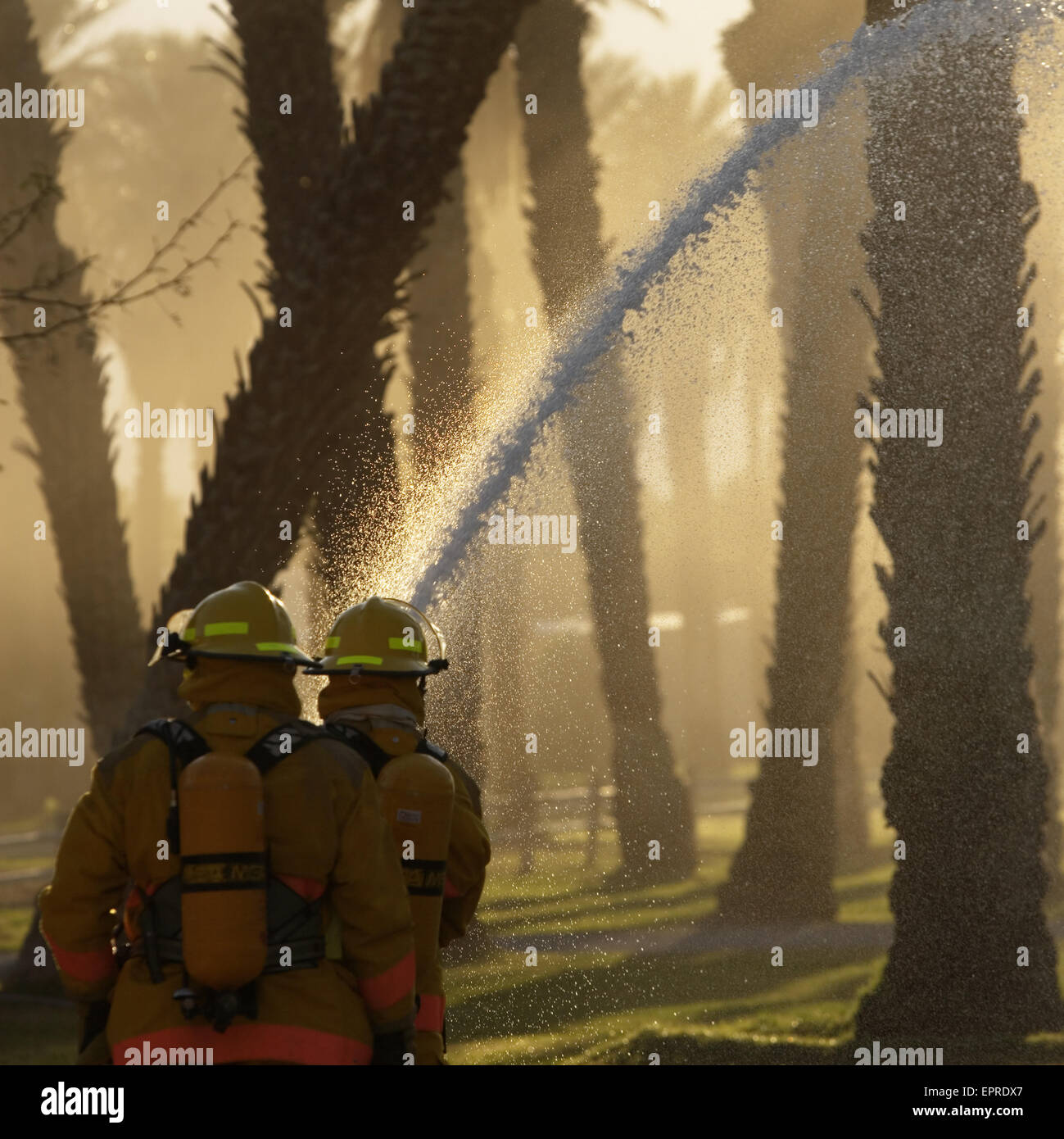 Firefighters with fire hose in a date grove in Death Valley National ...