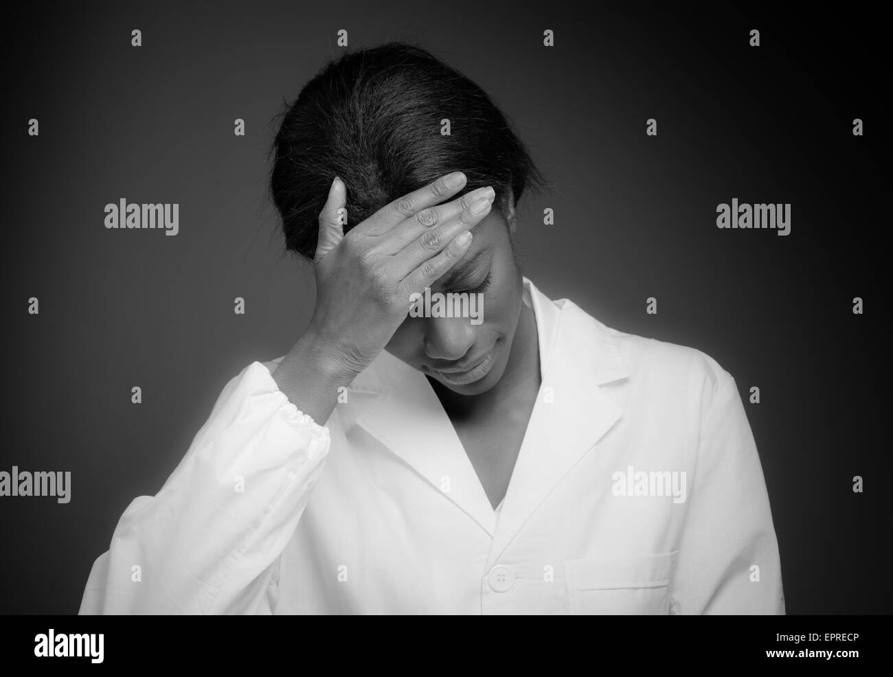 Black lab head shot Black and White Stock Photos & Images - Alamy