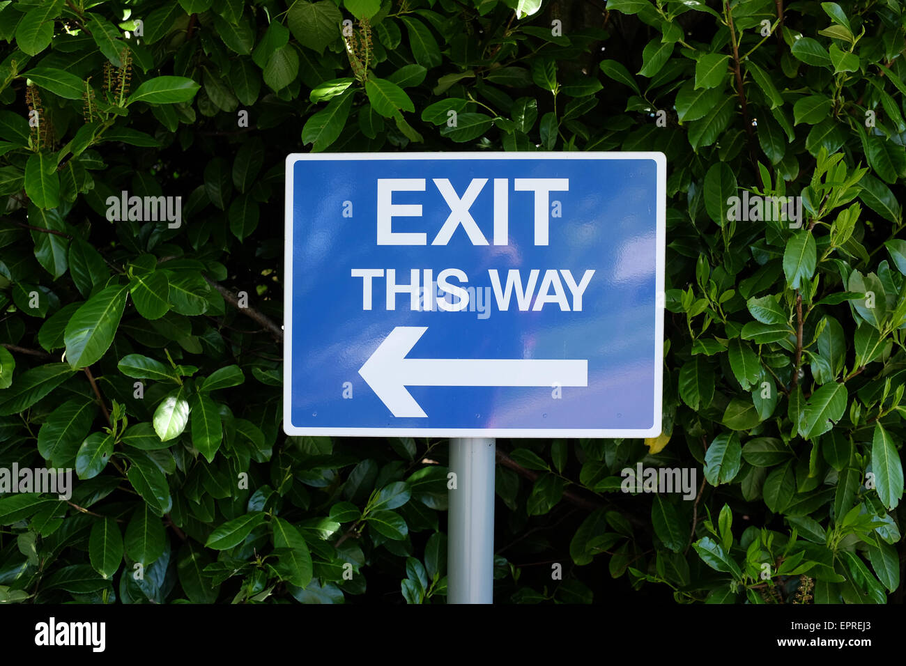 A sign showing the word 'exit' Stock Photo - Alamy
