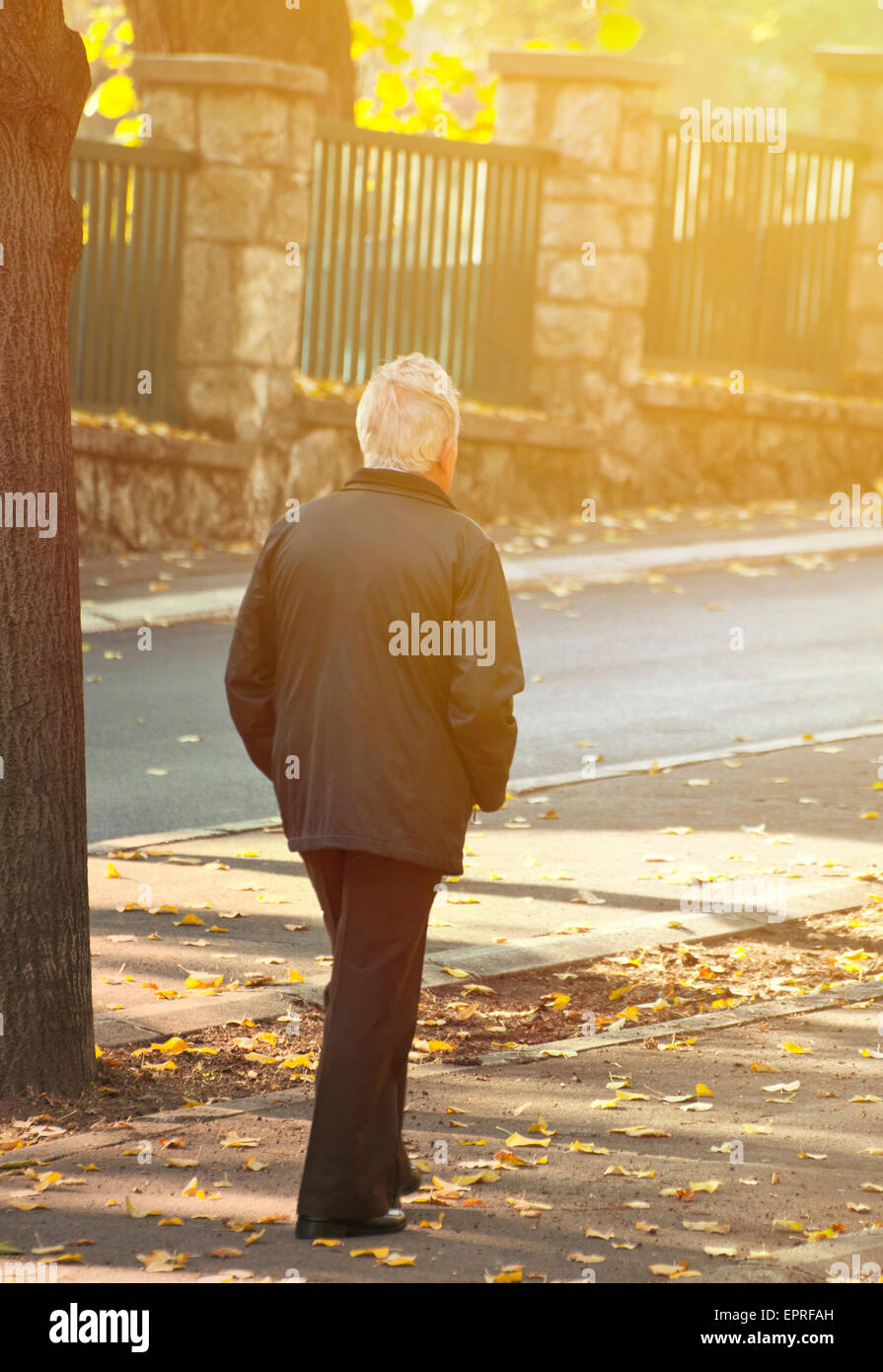Old man walking in park Stock Photo - Alamy