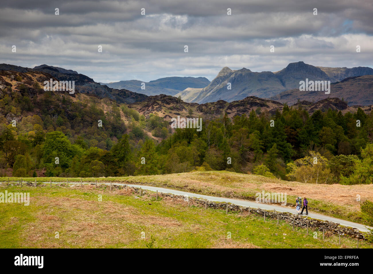 Two walkers wander along the road near Tarn Hows with the Langdale ...