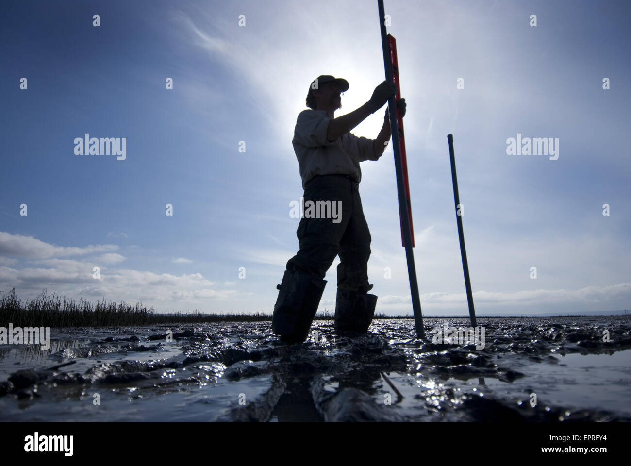 Installing a sediment gauge in the tidal mud at the Port Susan Bay, WA ...