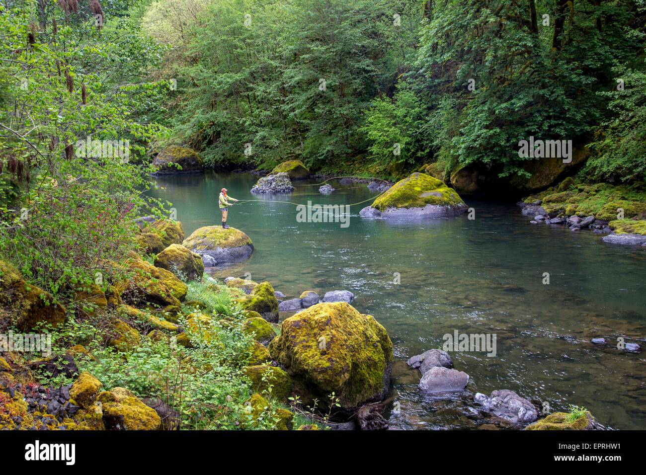 Recreation of a habitat hi-res stock photography and images - Alamy