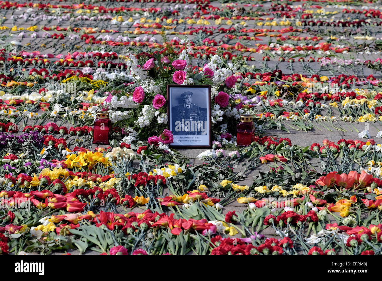 Photograph of a WW2 Soviet soldier amid wreaths marking 70 years since ...
