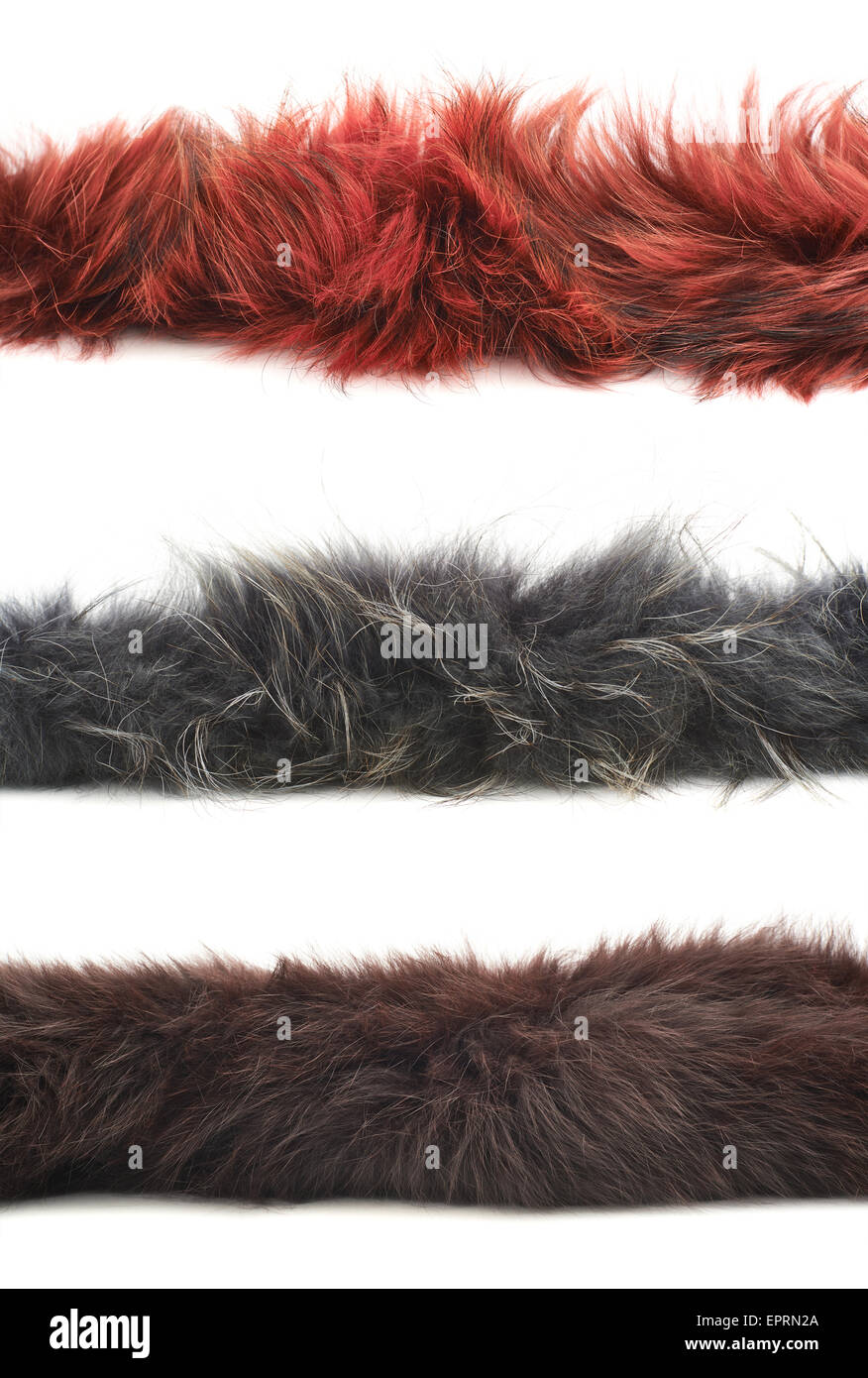 Strip of fur isolated Stock Photo - Alamy