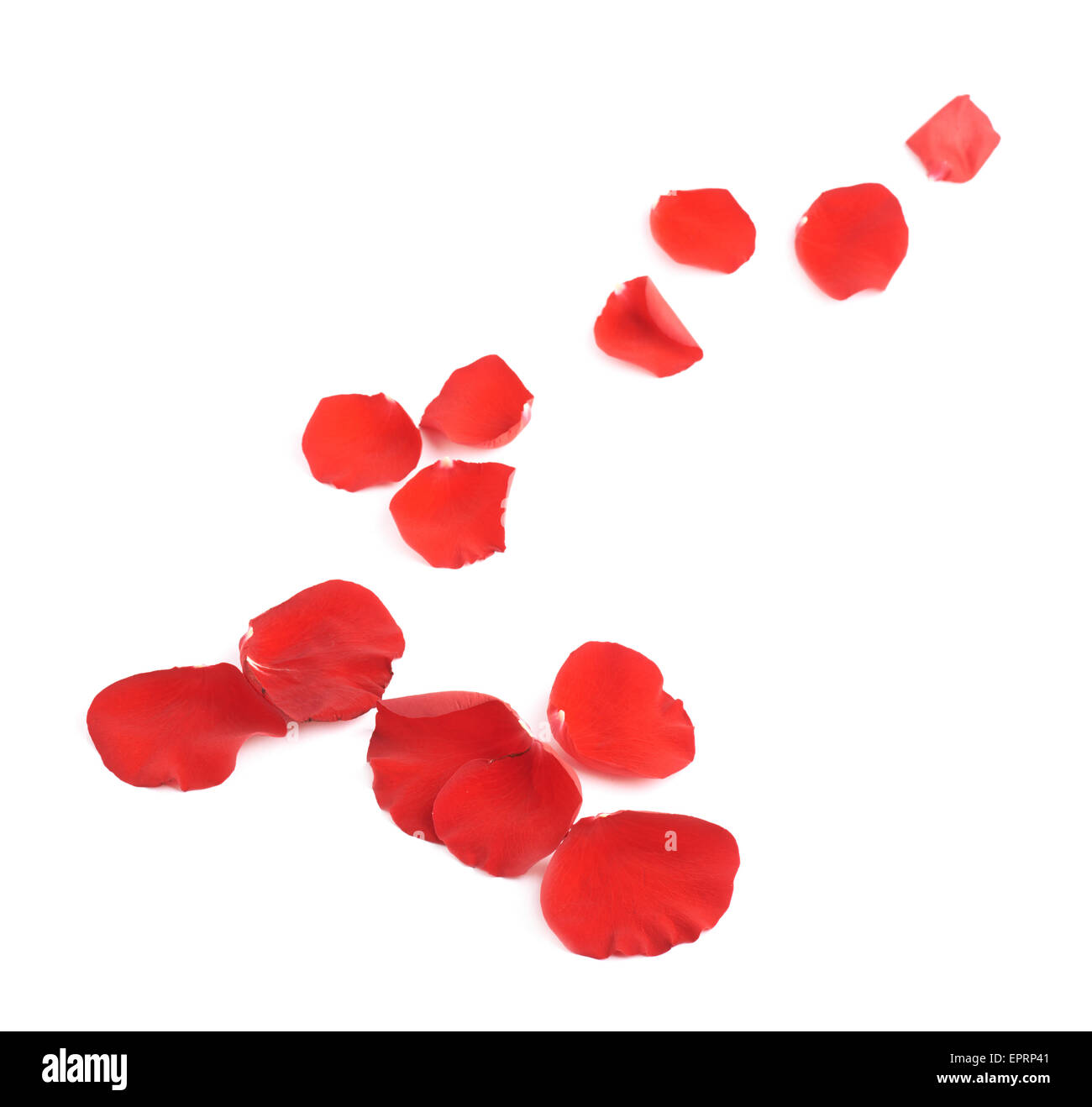Red rose petals composition isolated Stock Photo - Alamy