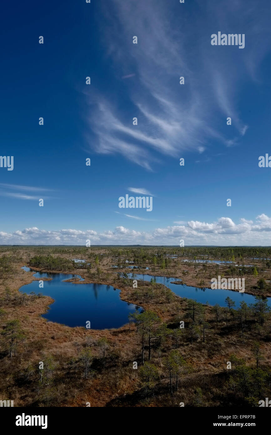 A raised bog located in Kemeri National Park, formed approximately ...