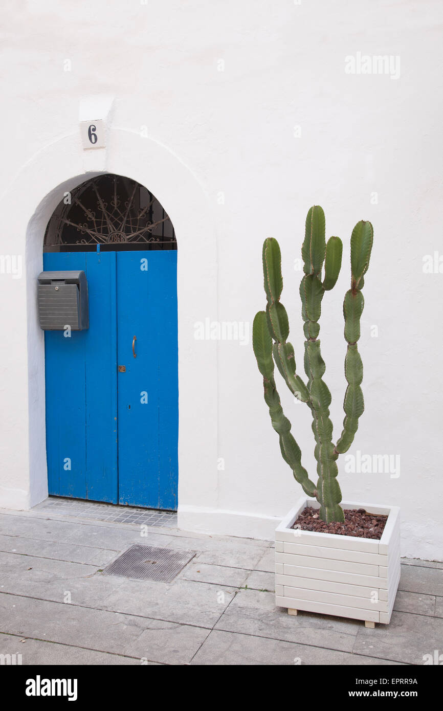 Green Cactus outside Blue Door Stock Photo - Alamy