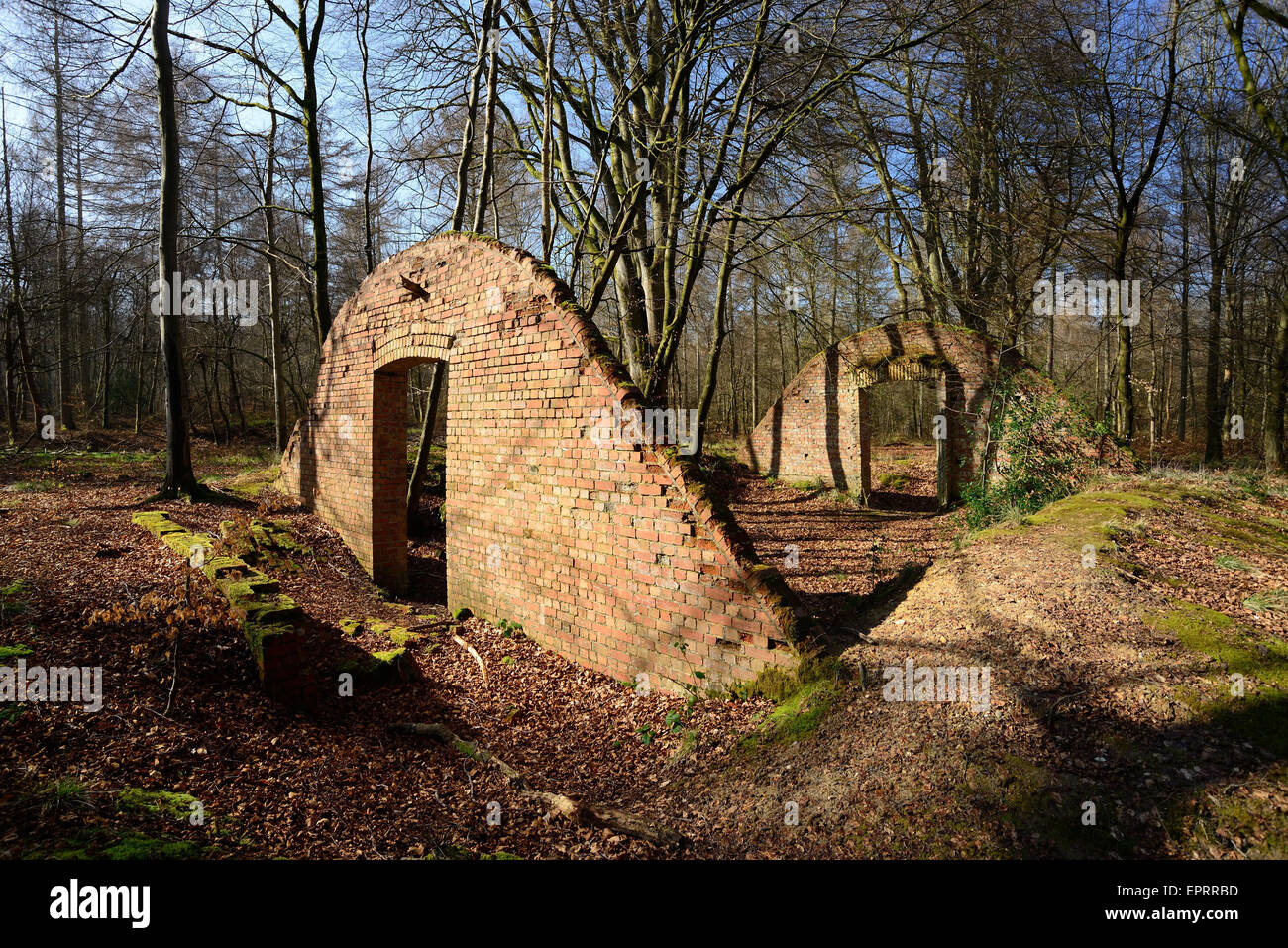 Explosives detection hi-res stock photography and images - Alamy