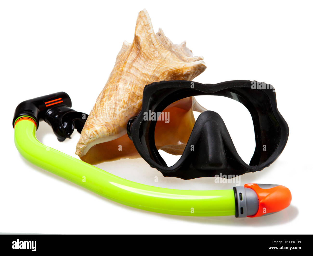 Tube for diving (snorkel), big sea shell and mask Stock Photo - Alamy