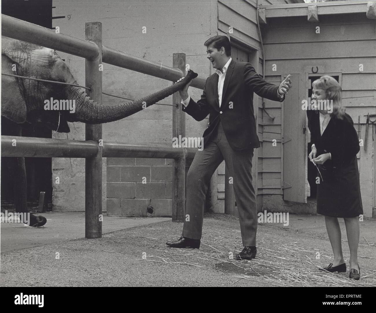 Debbie watson hi-res stock photography and images - Alamy