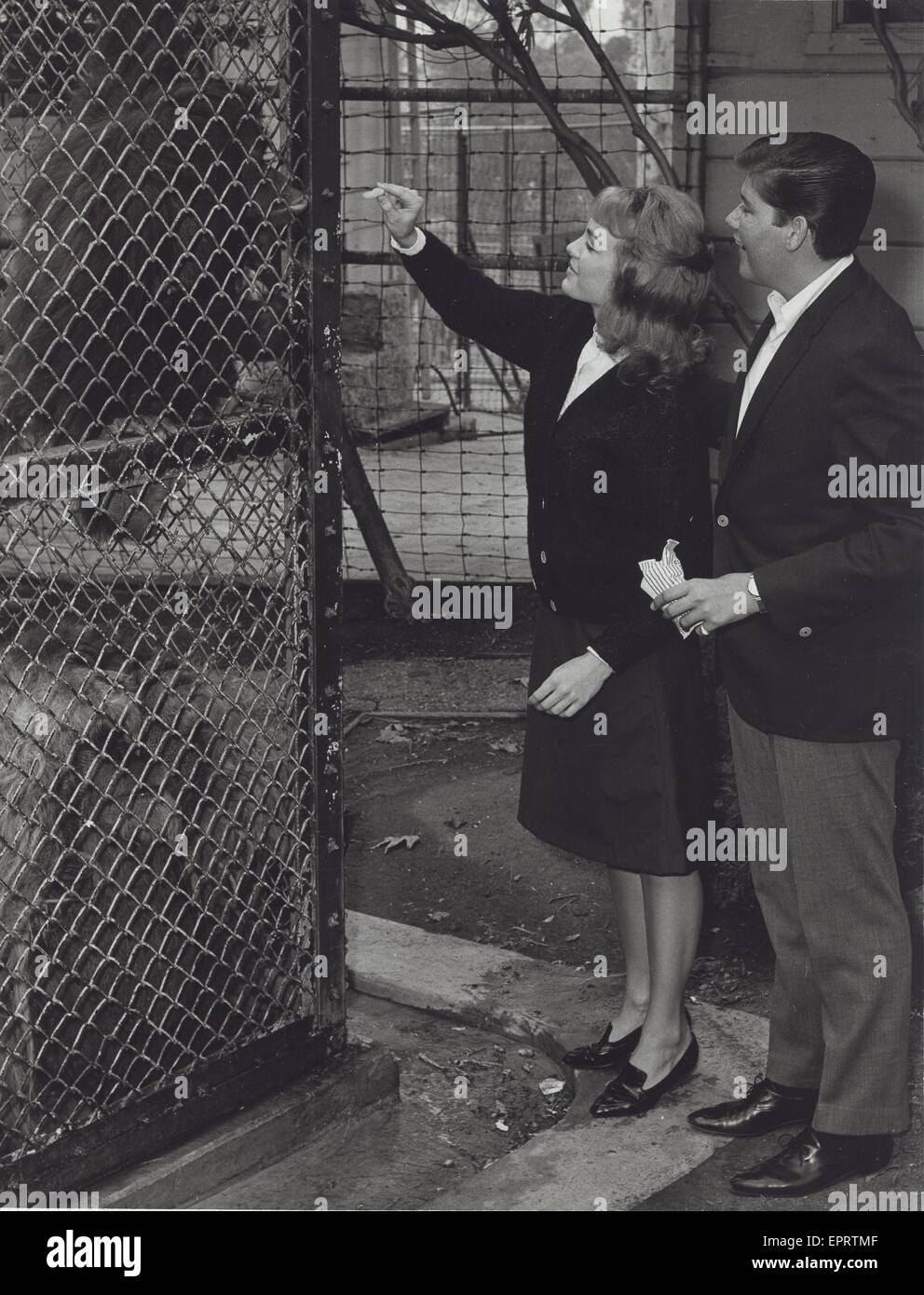 Debbie Watson High Resolution Stock Photography and Images - Alamy