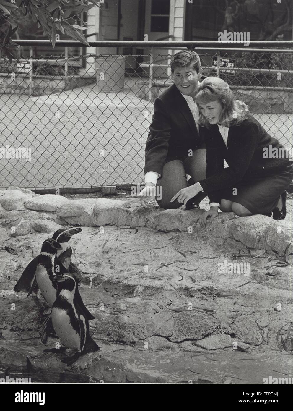 Debbie watson hi-res stock photography and images - Alamy