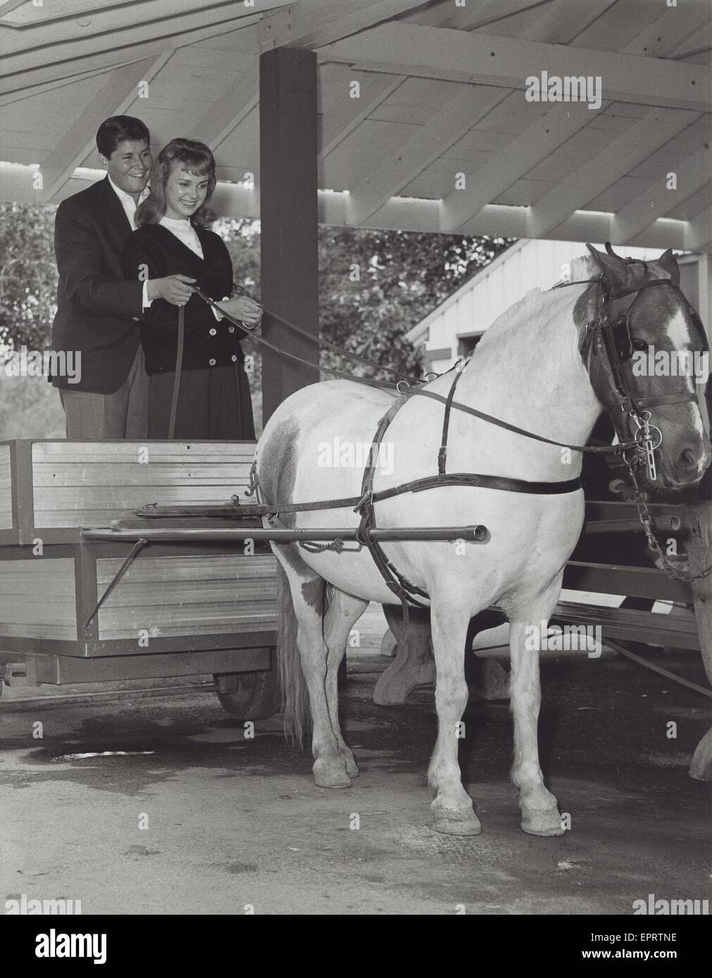 Debbie watson hi-res stock photography and images - Alamy