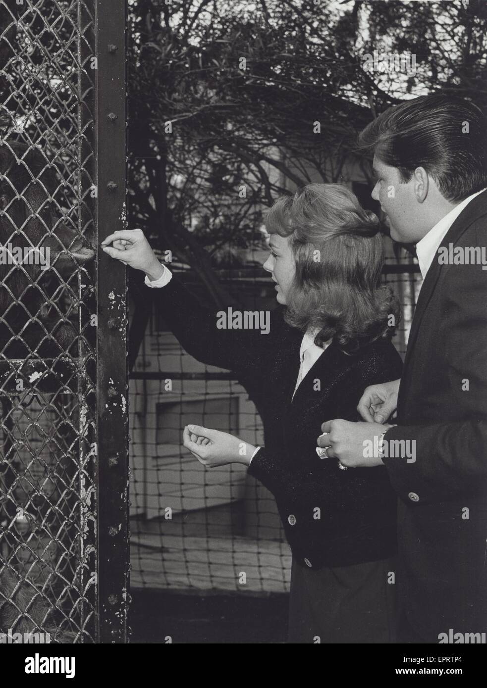 Debbie watson hi-res stock photography and images - Alamy