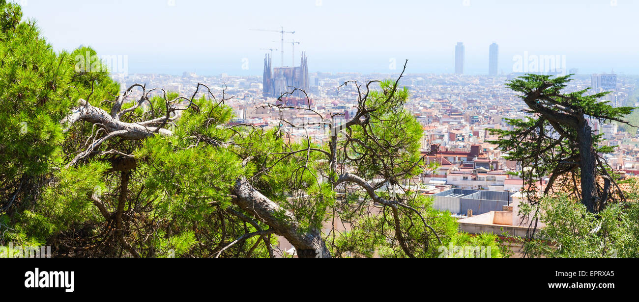 Cityscape trees green hi-res stock photography and images - Alamy