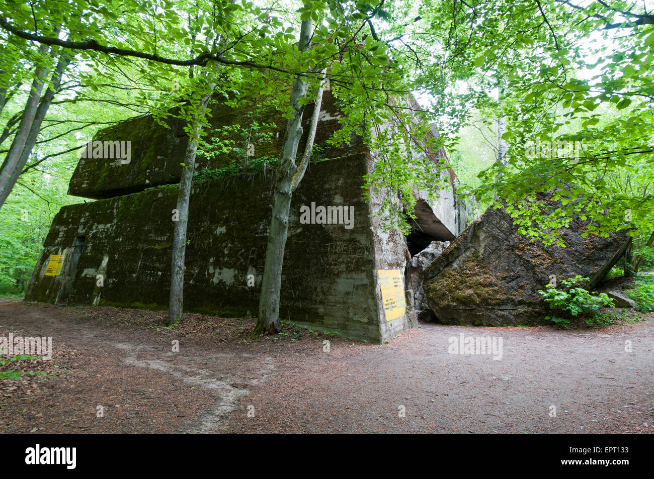 Hermann Goering bunker in Wolfsschanze, Hitler's Wolf's Lair Eastern ...