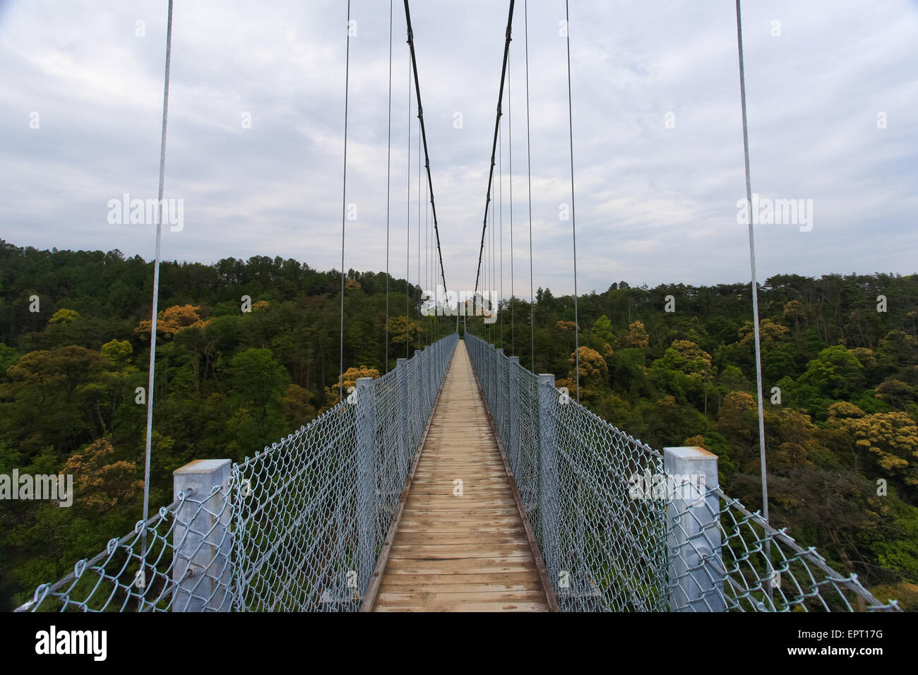Suspension bridge over nature scene Stock Photo - Alamy