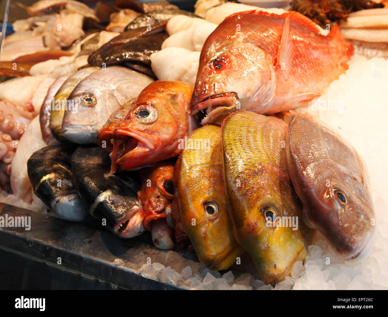 The cold counter at the fishmonger's stall in the covered food market ...