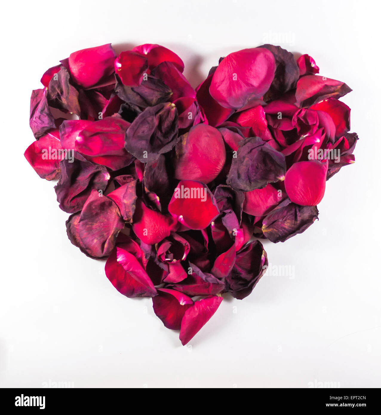 Decaying rose petals formed into a heart shape on a white background ...