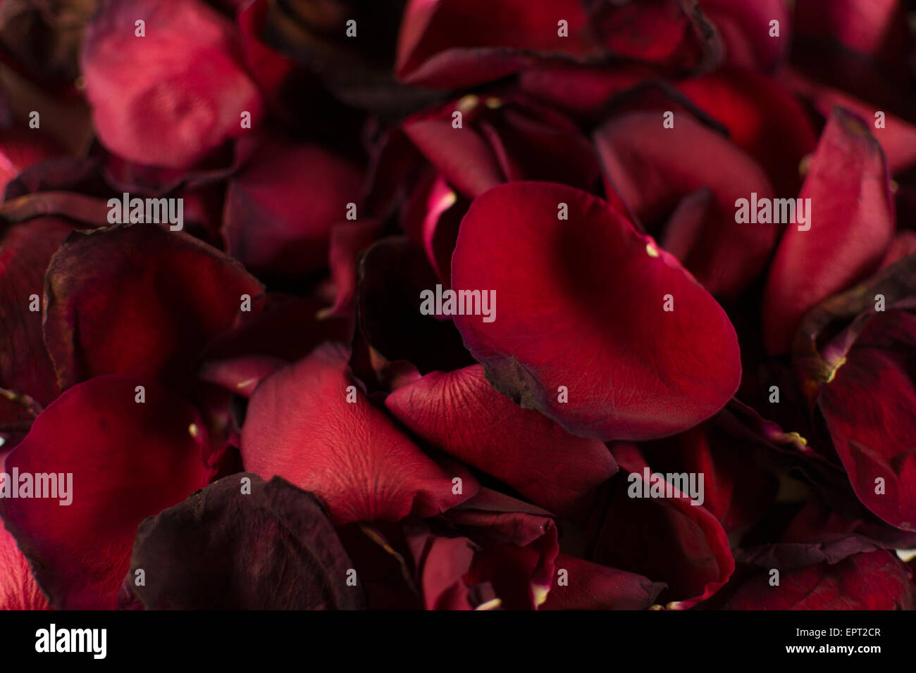 Forgotten love hi-res stock photography and images - Alamy