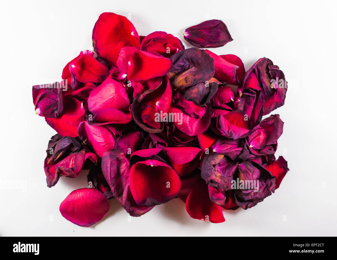 Dead rose petals falling hi-res stock photography and images - Alamy