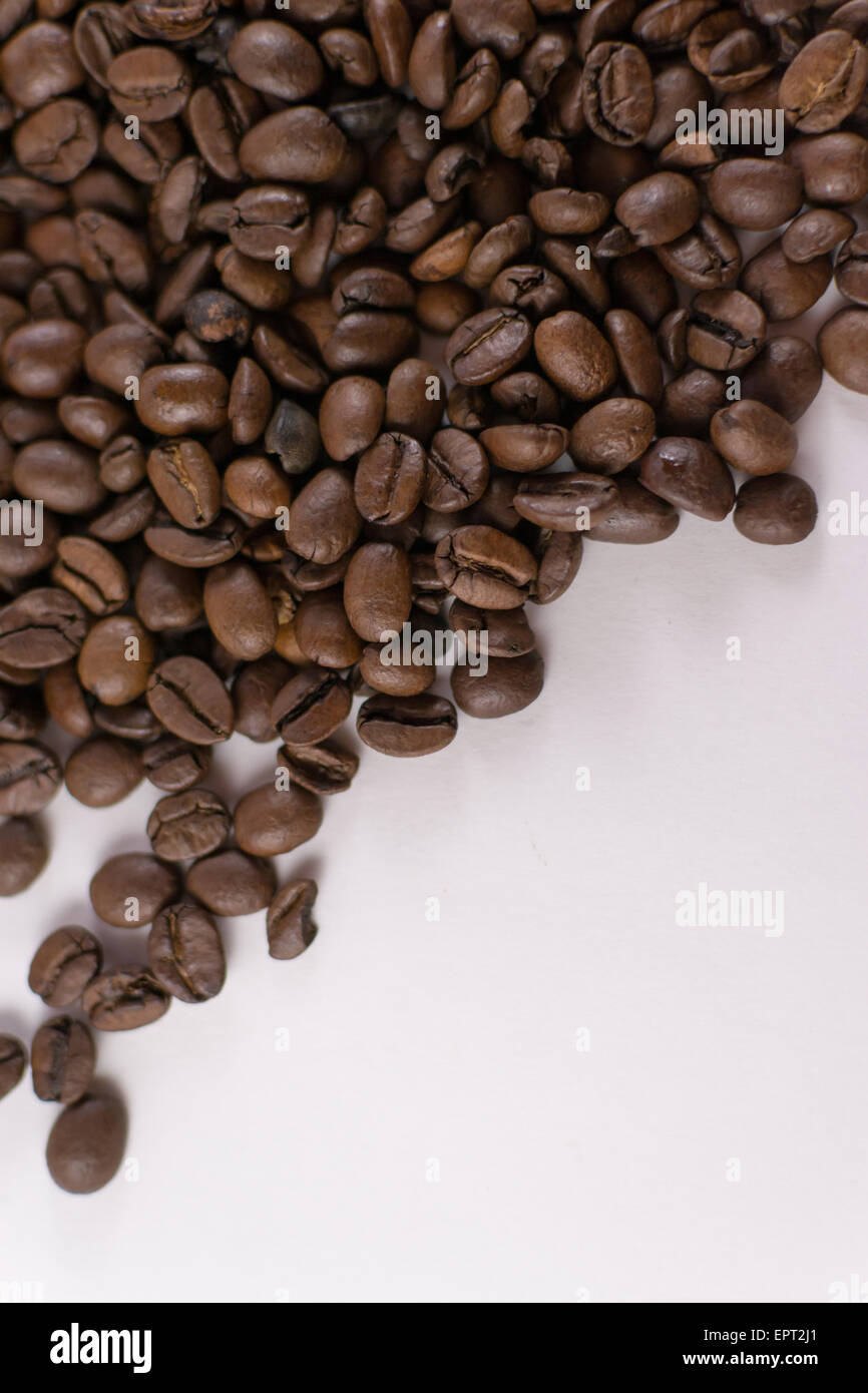Overhead photograph of random coffee beans on white paper with copy ...