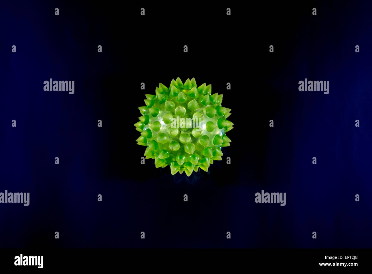 Green colored sphere shaped virus with many protein spikes on blue ...