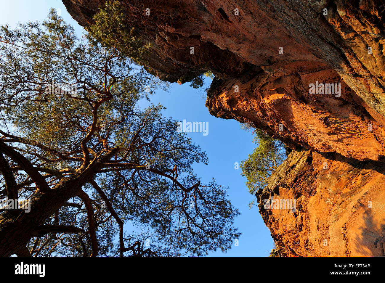 Sandstone Rock, Hochstein, Dahn, Dahner Felsenland, Pfalzerwald ...