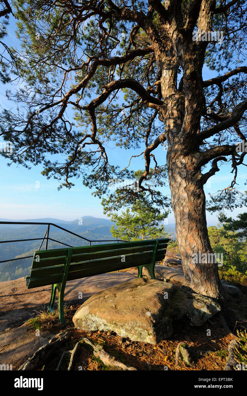 Observation Point on Mountain with Bench, Hochstein, Dahn, Dahner ...