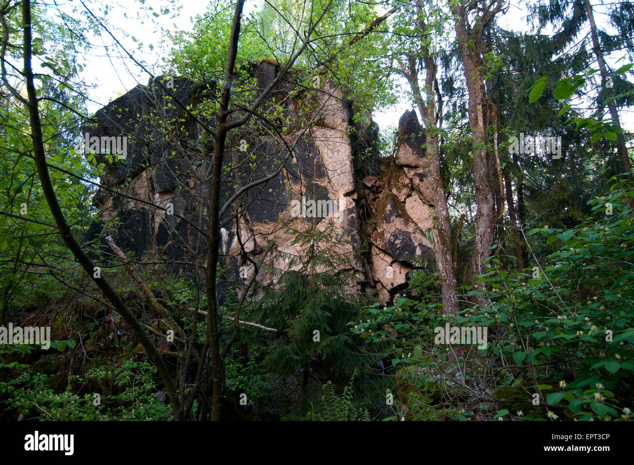 Adolf hitler headquarters ruins hi-res stock photography and images - Alamy