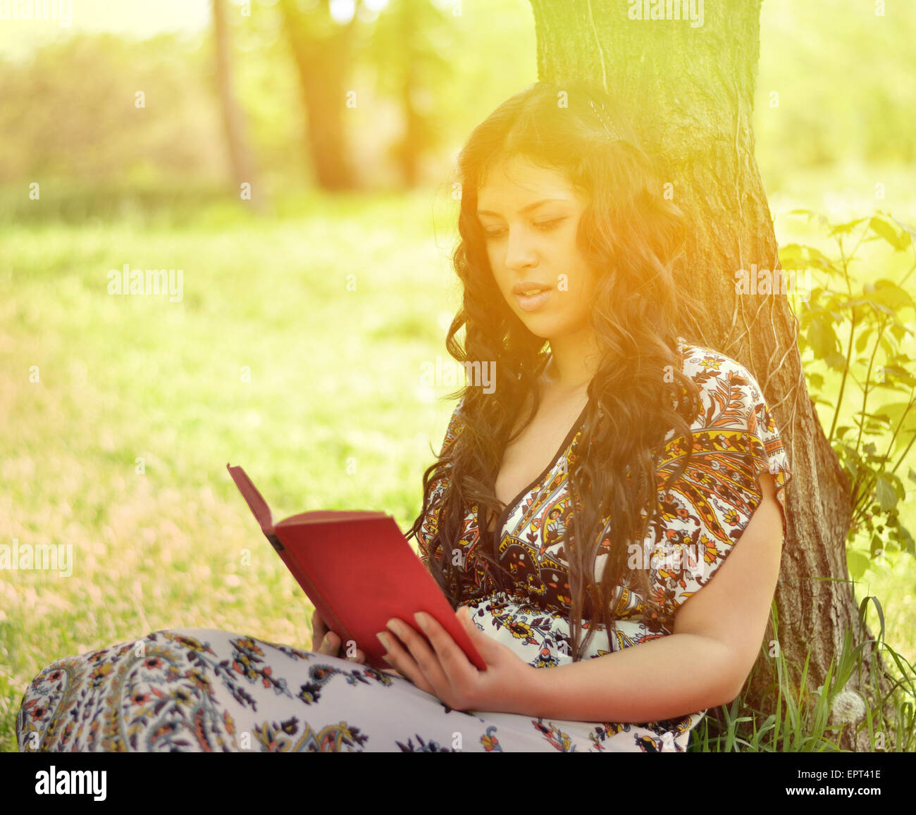 Woman reading book leaned against tree Stock Photo - Alamy