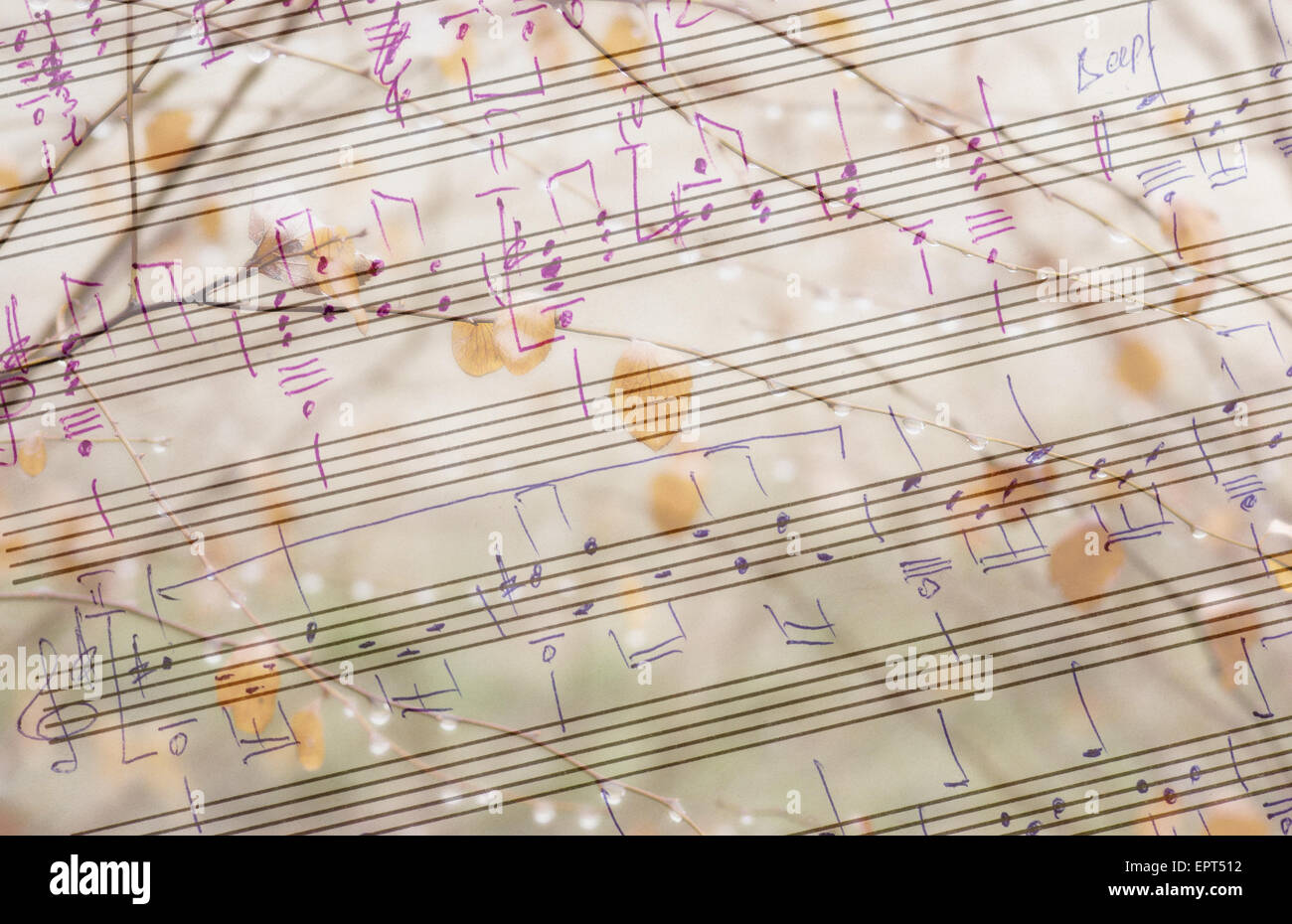 Musical and seasonal background - autumnal music Stock Photo - Alamy