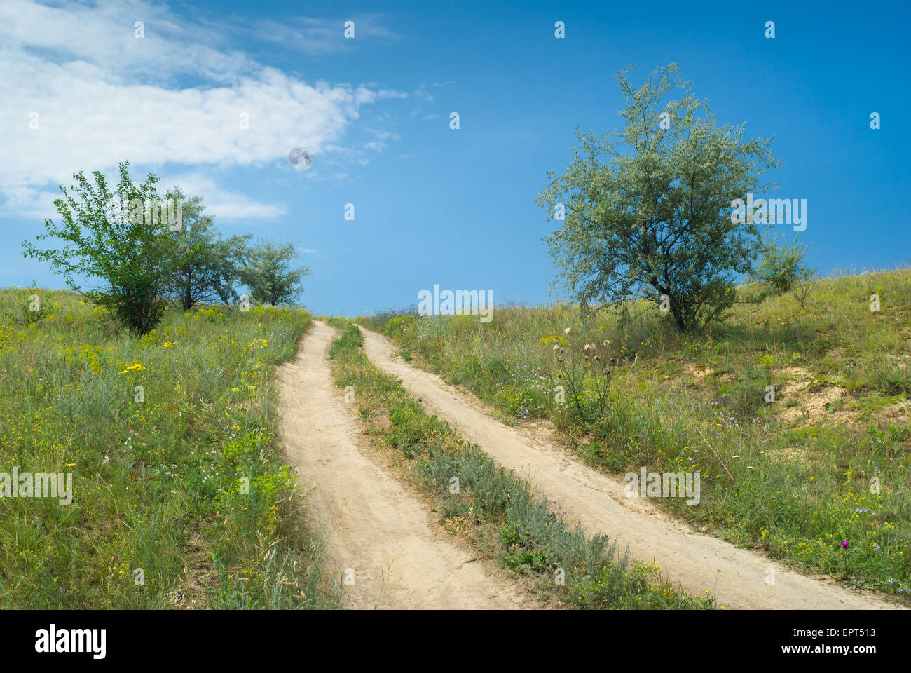 Summer rural landscape with country road and late moon Stock Photo - Alamy