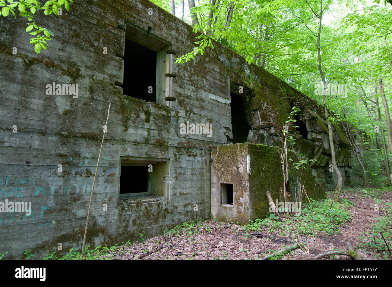 Guest bunker in Wolfsschanze, Hitler's Wolf's Lair Eastern Front ...