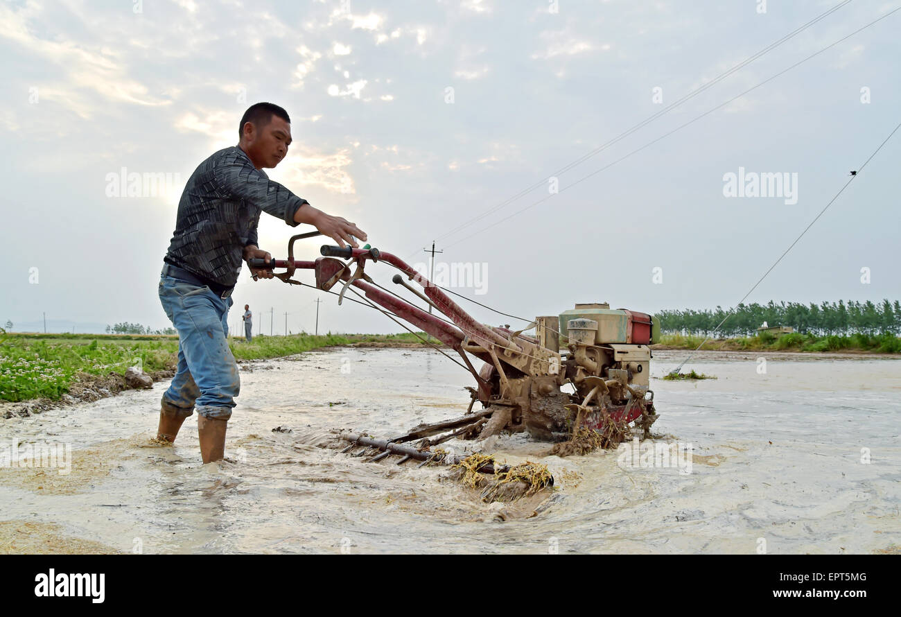 Rice works hi-res stock photography and images - Alamy