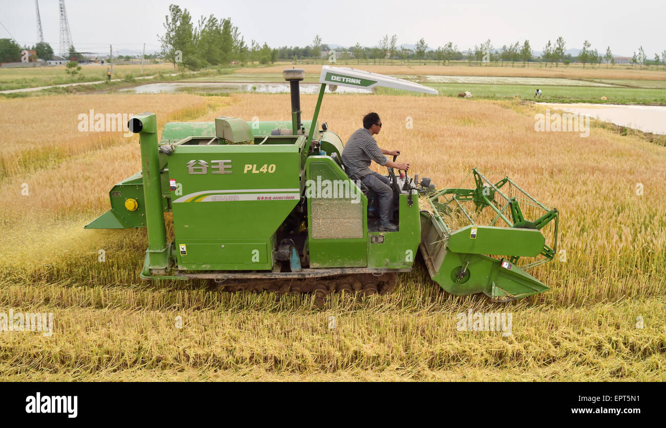 Xiangyang food hi-res stock photography and images - Alamy