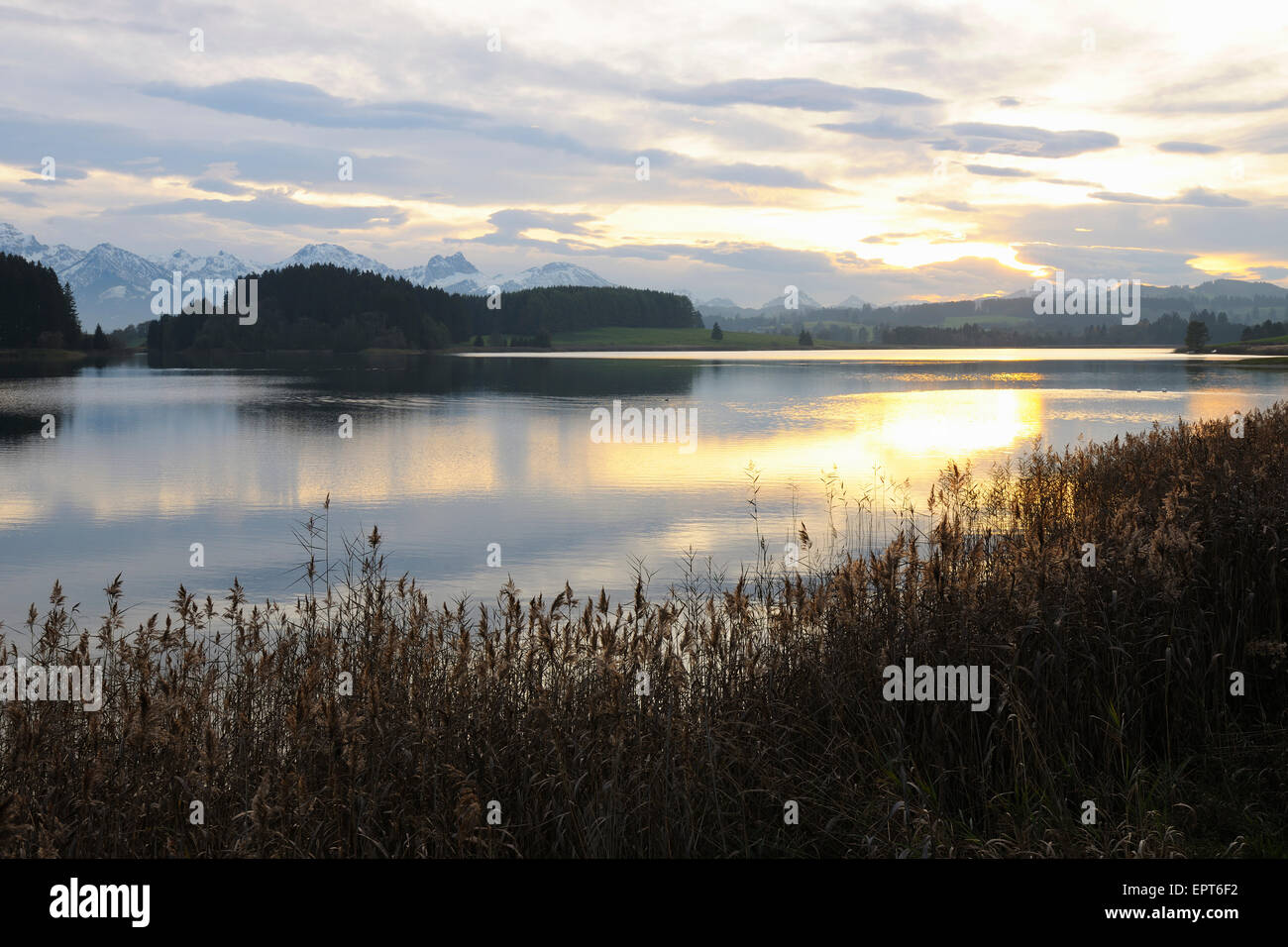 Lake at Sunrise, Illasbergsee, Halblech, Bavaria, Germany Stock Photo ...