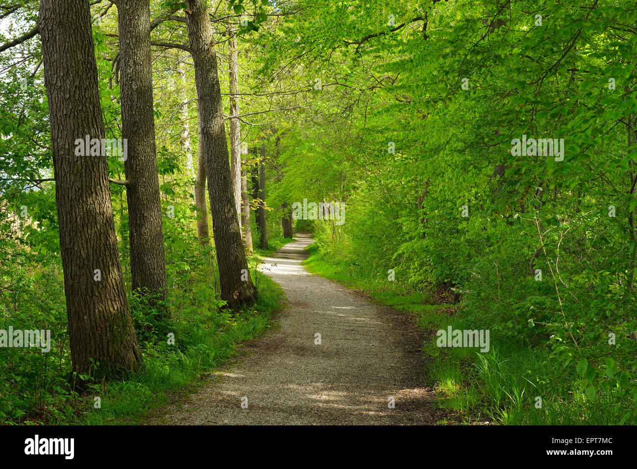 Lakeside Path in Spring, Seeshaupt, Starnberger See, Upper Bavaria ...