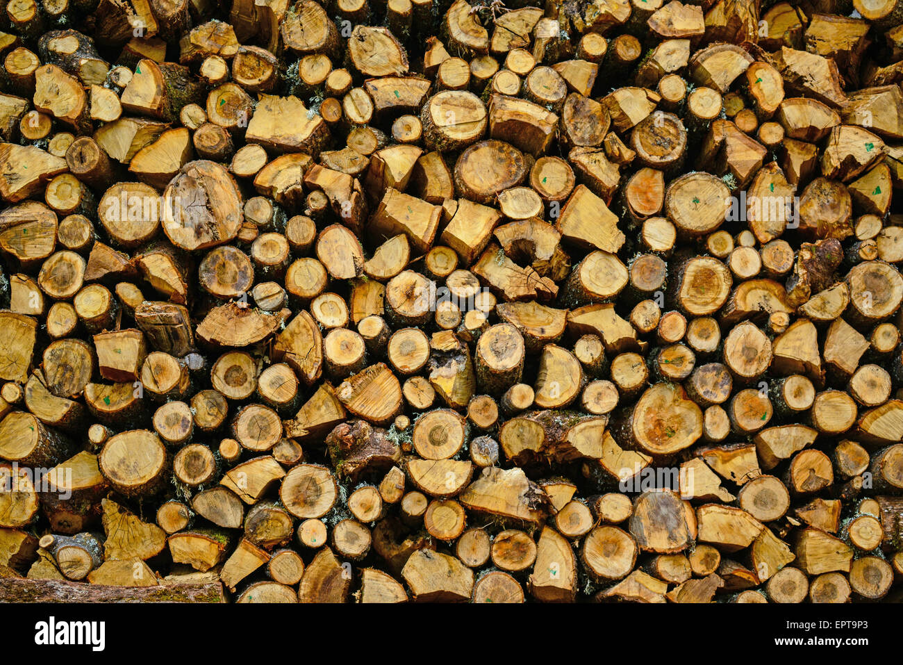 Wooden logs background Stock Photo - Alamy