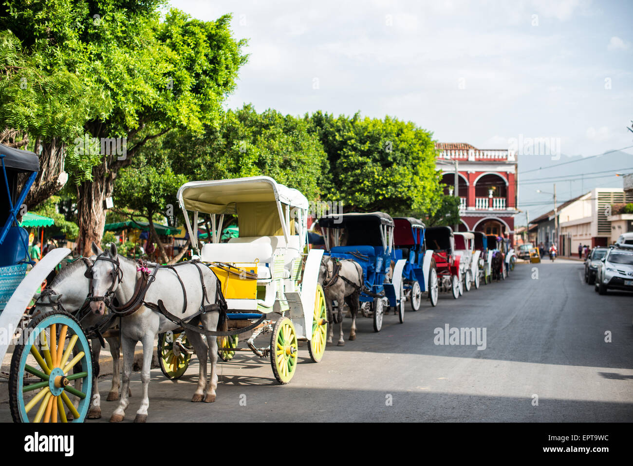 Horse-Drawn Carriages Parque Central Granada Nicaragua // GRANADA ...