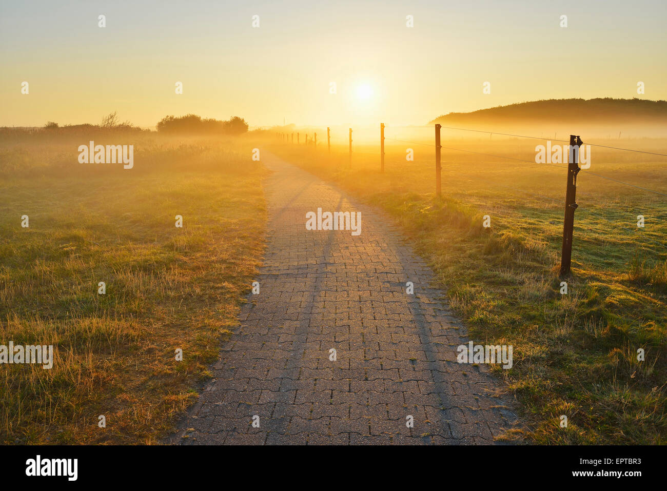 Path through Countryside with Morning Mist, Summer, Norderney, East ...