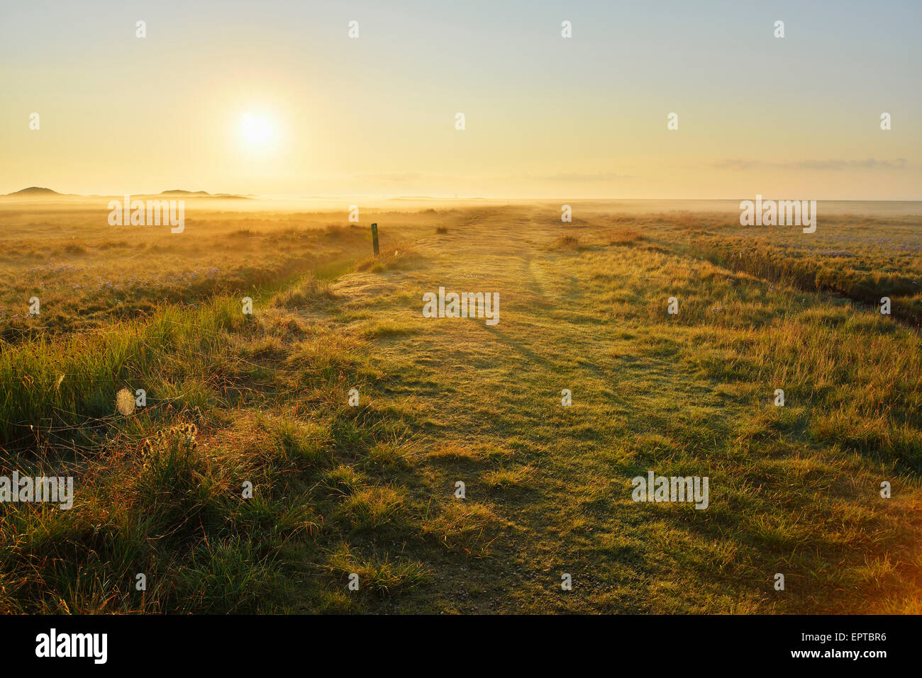 Countryside with Morning Mist in Summer, Norderney, East Frisia Island ...