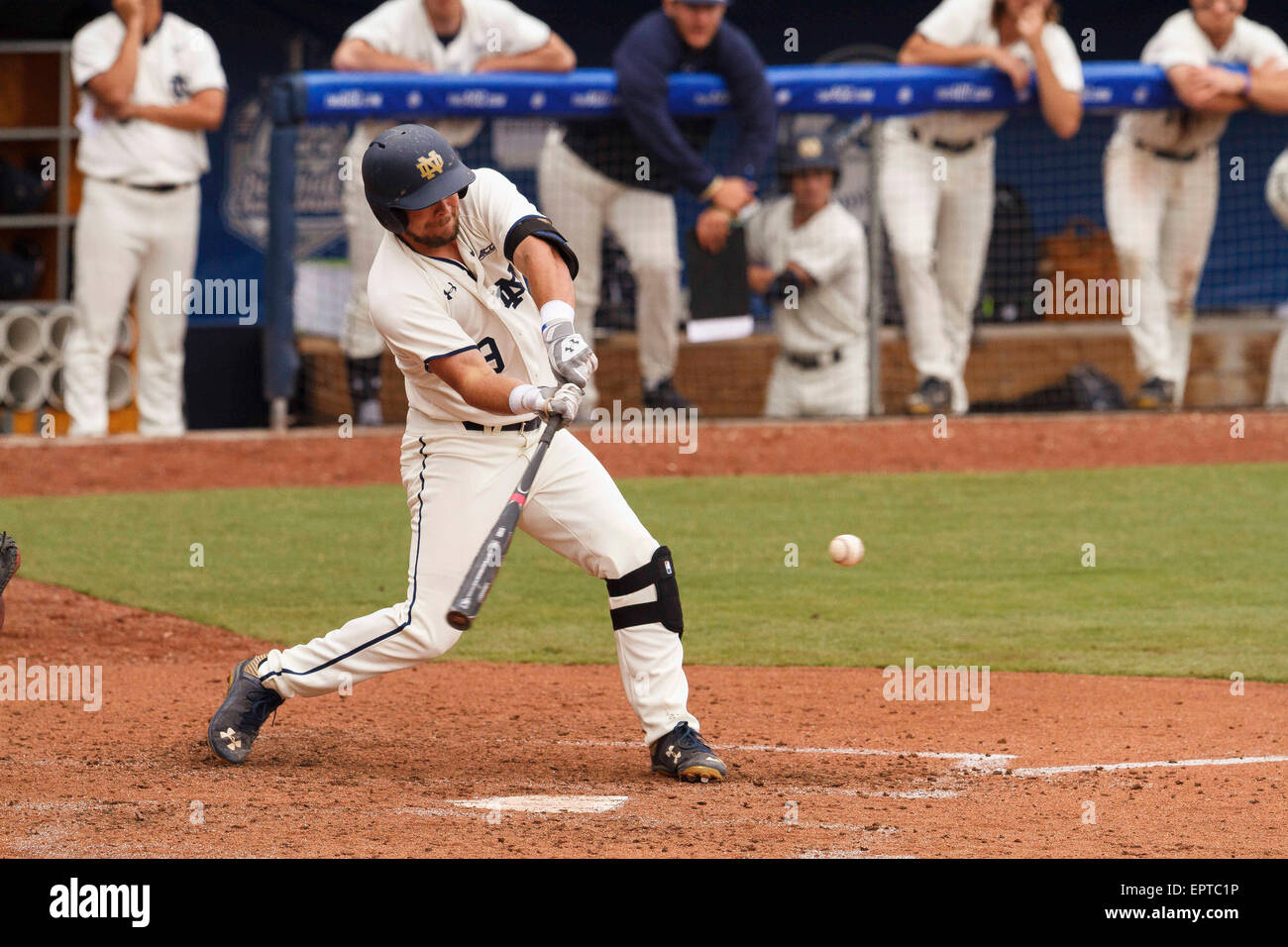 Irish bulls hi-res stock photography and images - Alamy