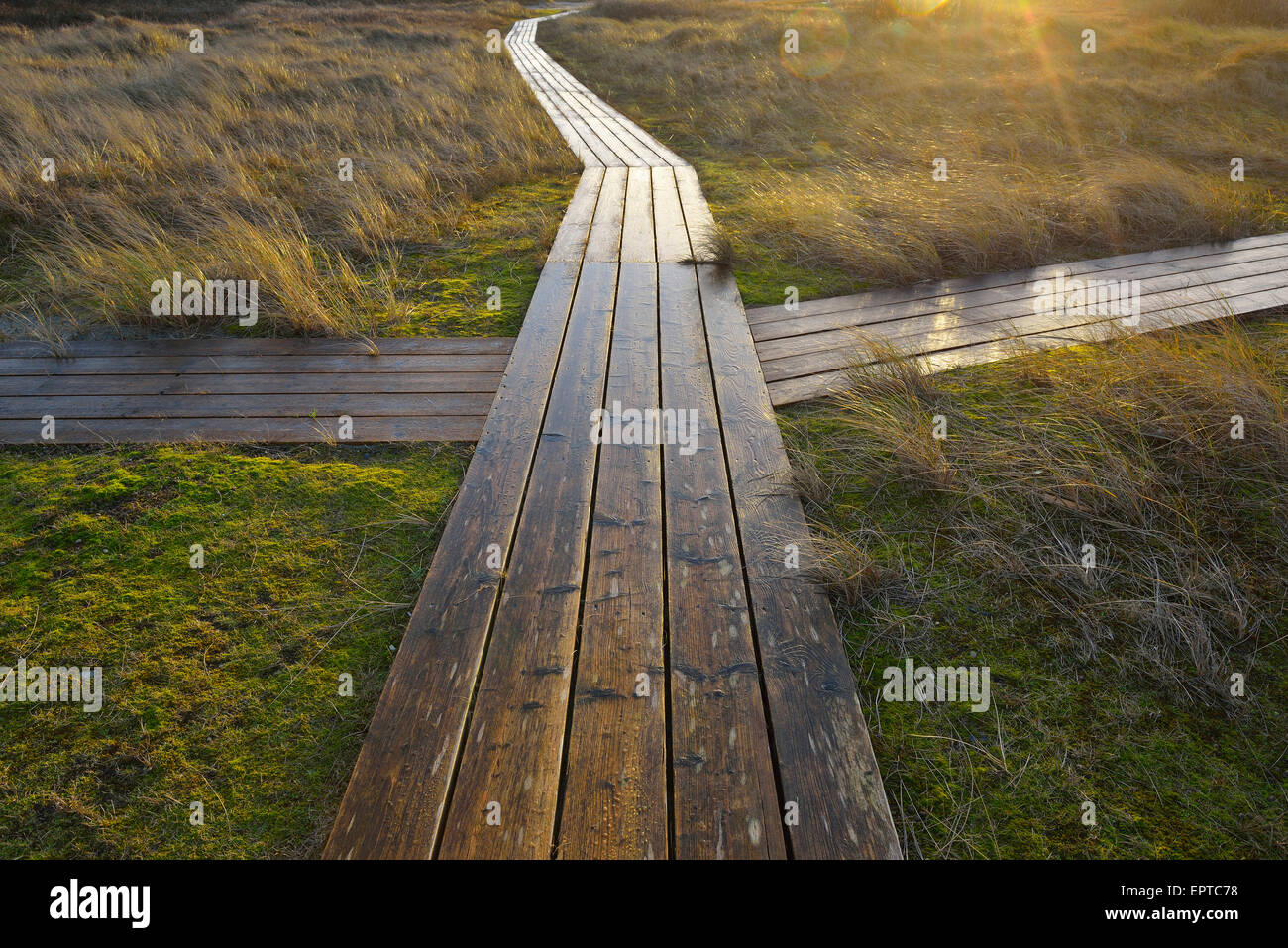 Curved boardwalk hi-res stock photography and images - Alamy