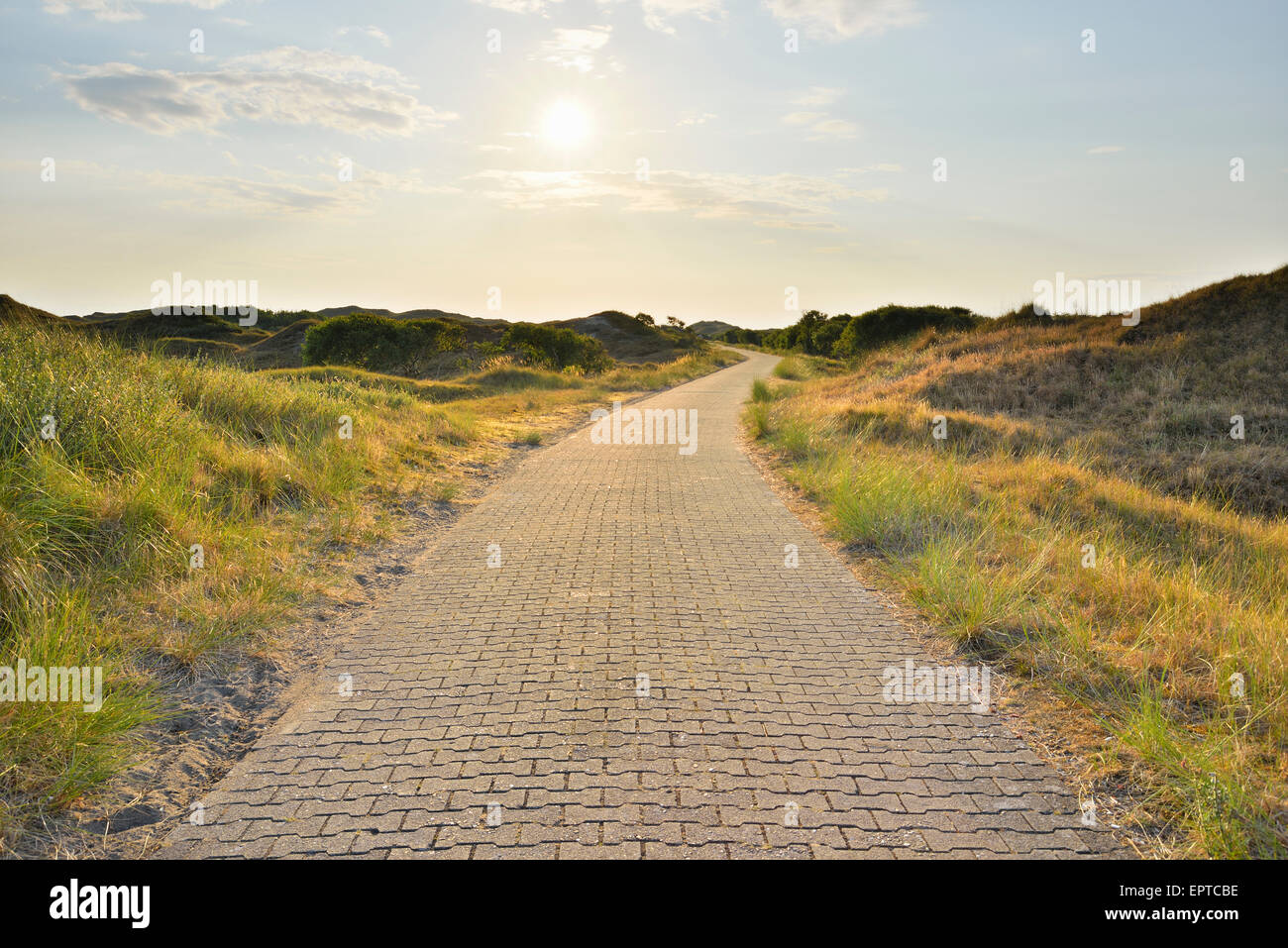 Dunes Path with Sun in Summer, Norderney, East Frisia Island, North Sea ...