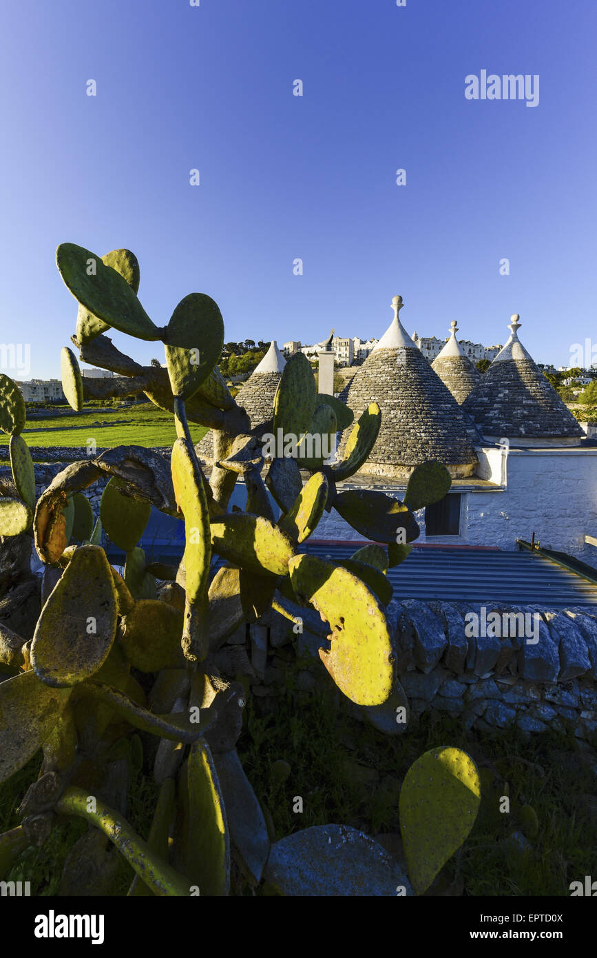 Trullo, Trulli, Locorotondo, Apulia, Italy Stock Photo - Alamy