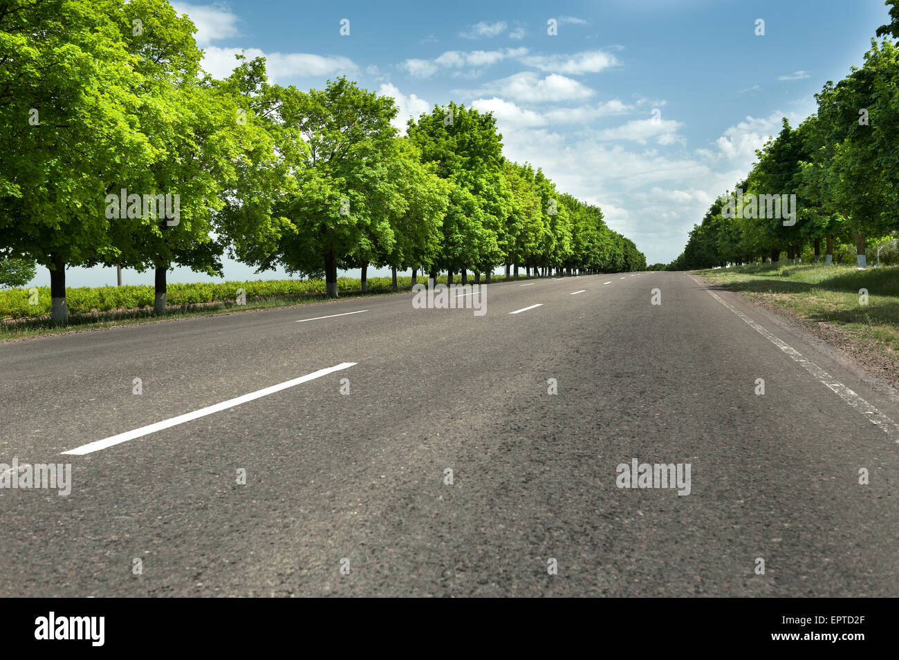 summer road bright landscape Stock Photo - Alamy