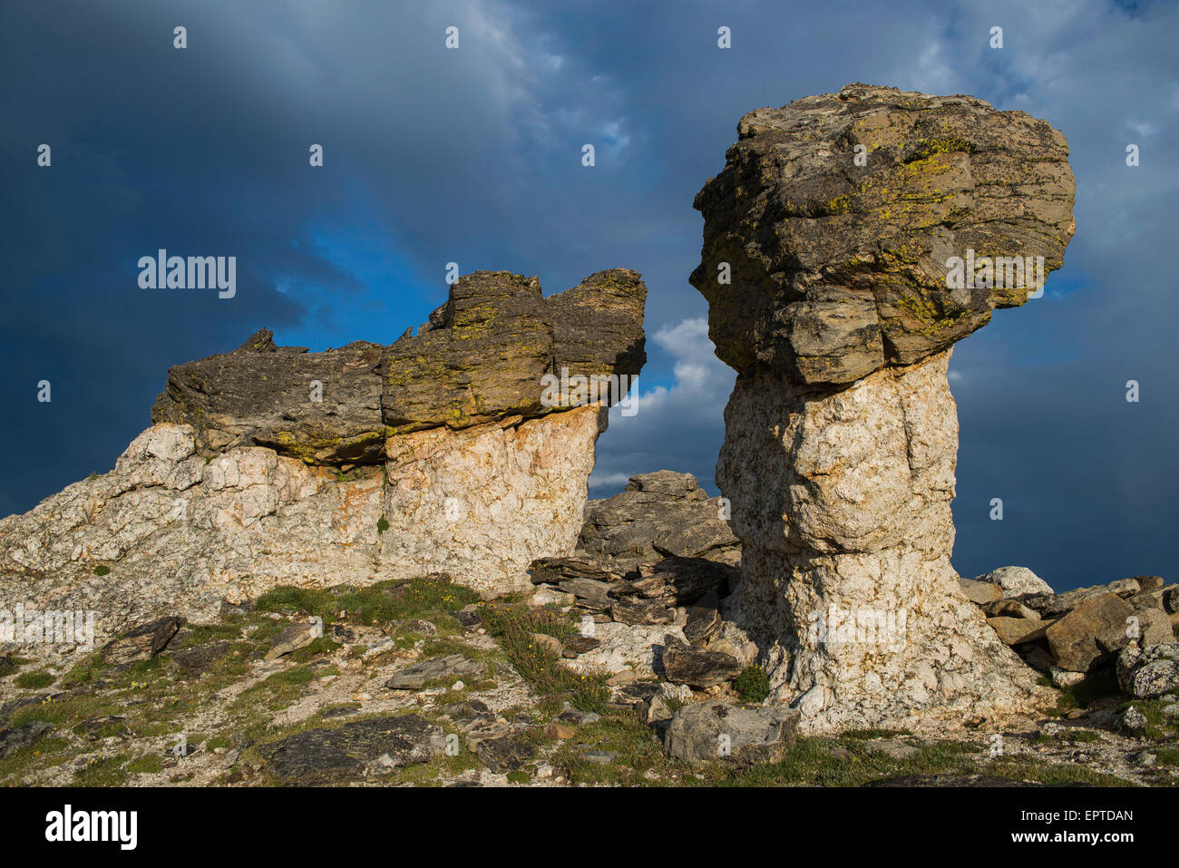 Colorado Mushroom Rocks,Tundra Communities Trail, Rocky Mountain ...